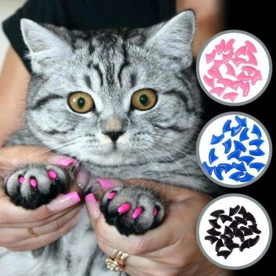 Cat Nail Caps - Not sold in stores