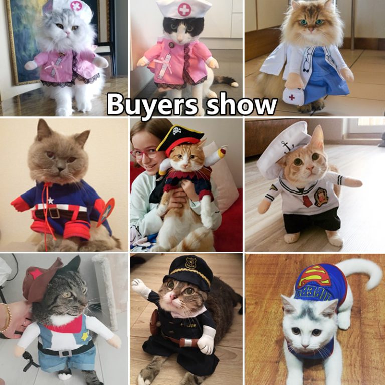 Funny Cat Costumes - Not sold in stores
